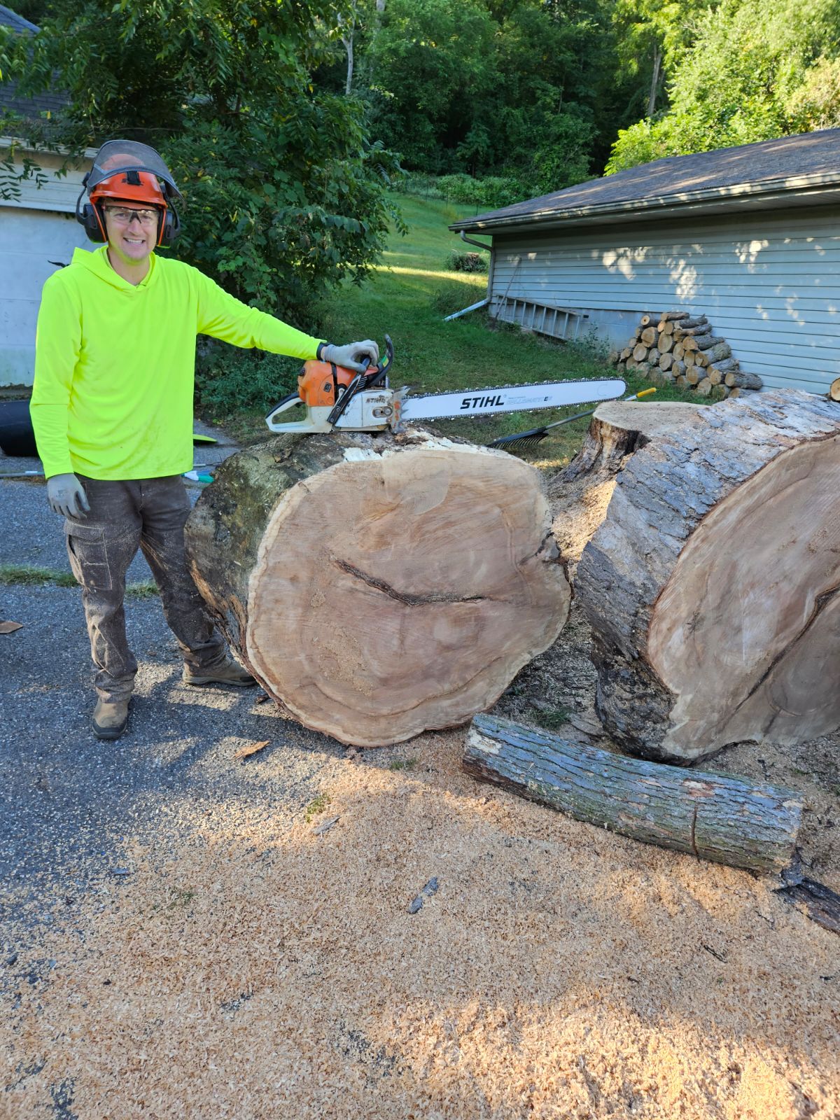 Gallery – RED WING TREES