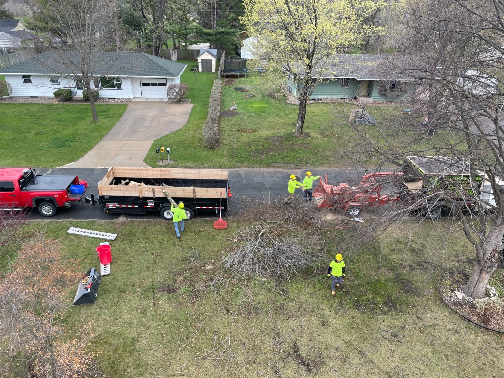 Gallery – RED WING TREES